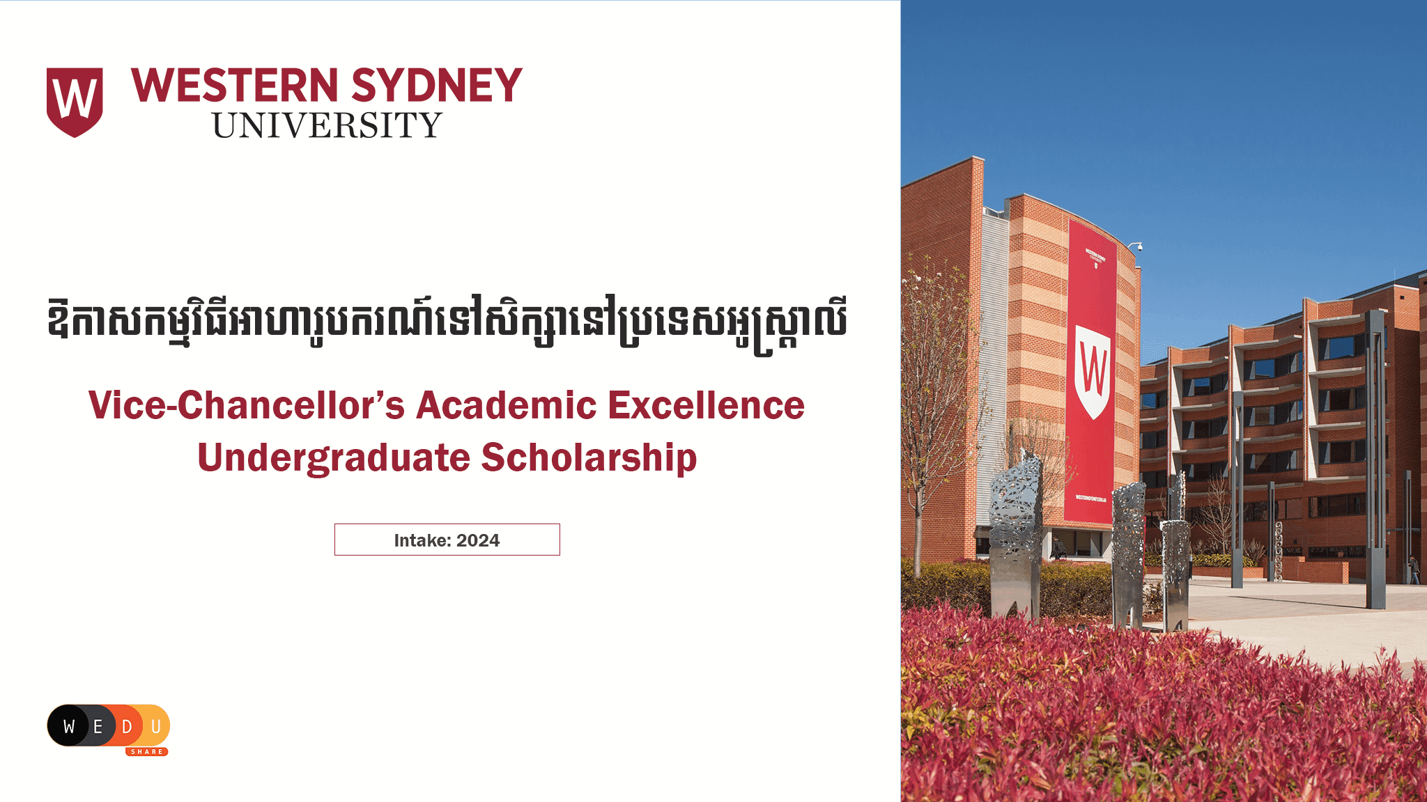 WSU Vice-Chancellor’s Academic Excellence Undergraduate Scholarships | WEduShare