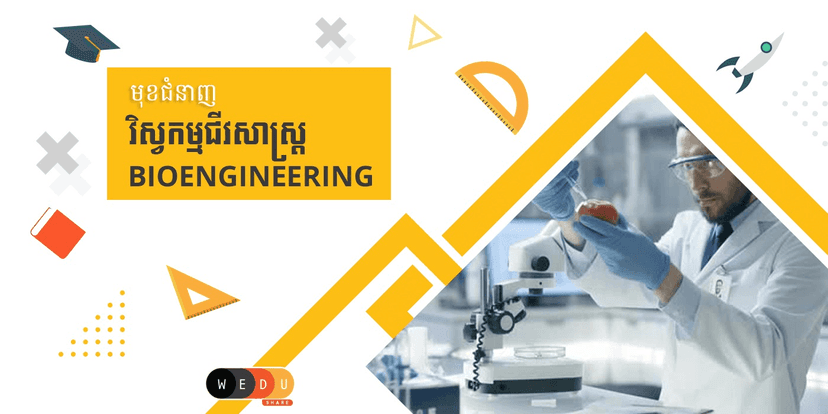 What is Bioengineering? | WEduShare