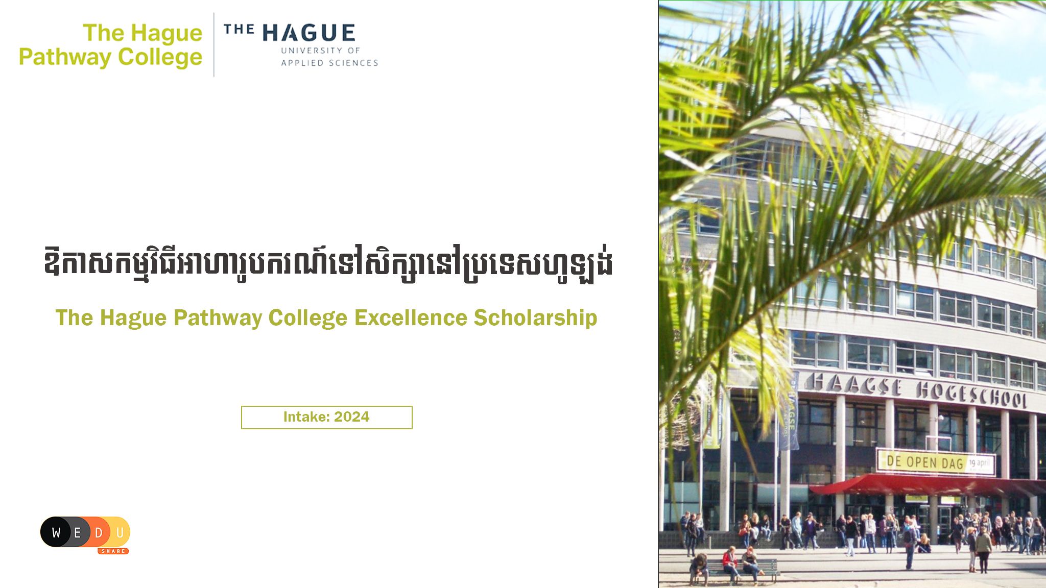 The Hague Pathway College Excellence Scholarship | WEduShare